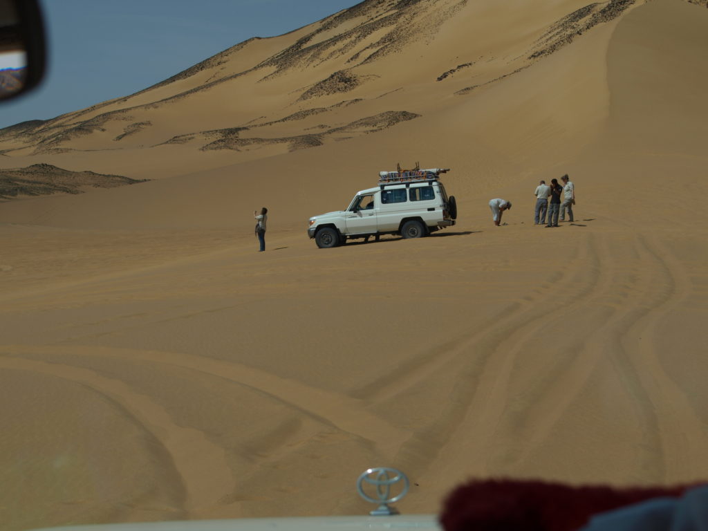 Desert Safari Tours | Deluxe Tours Egypt