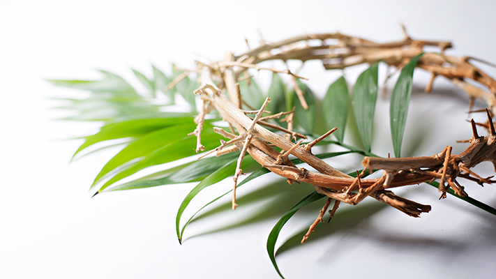 Palm Sunday | Coptic Celebrations | Deluxe Tours Egypt