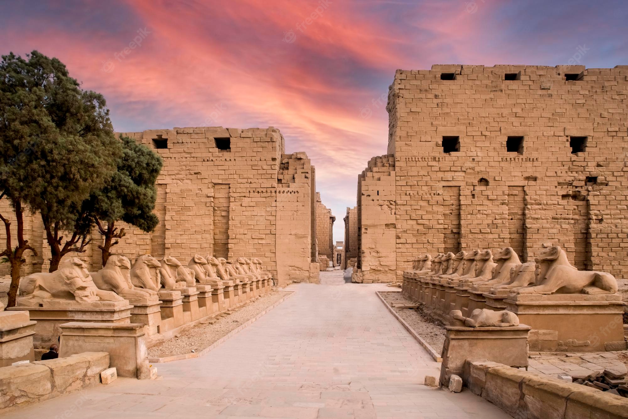 Luxor Full-Day Private Tour with Hot Air Balloon Ride